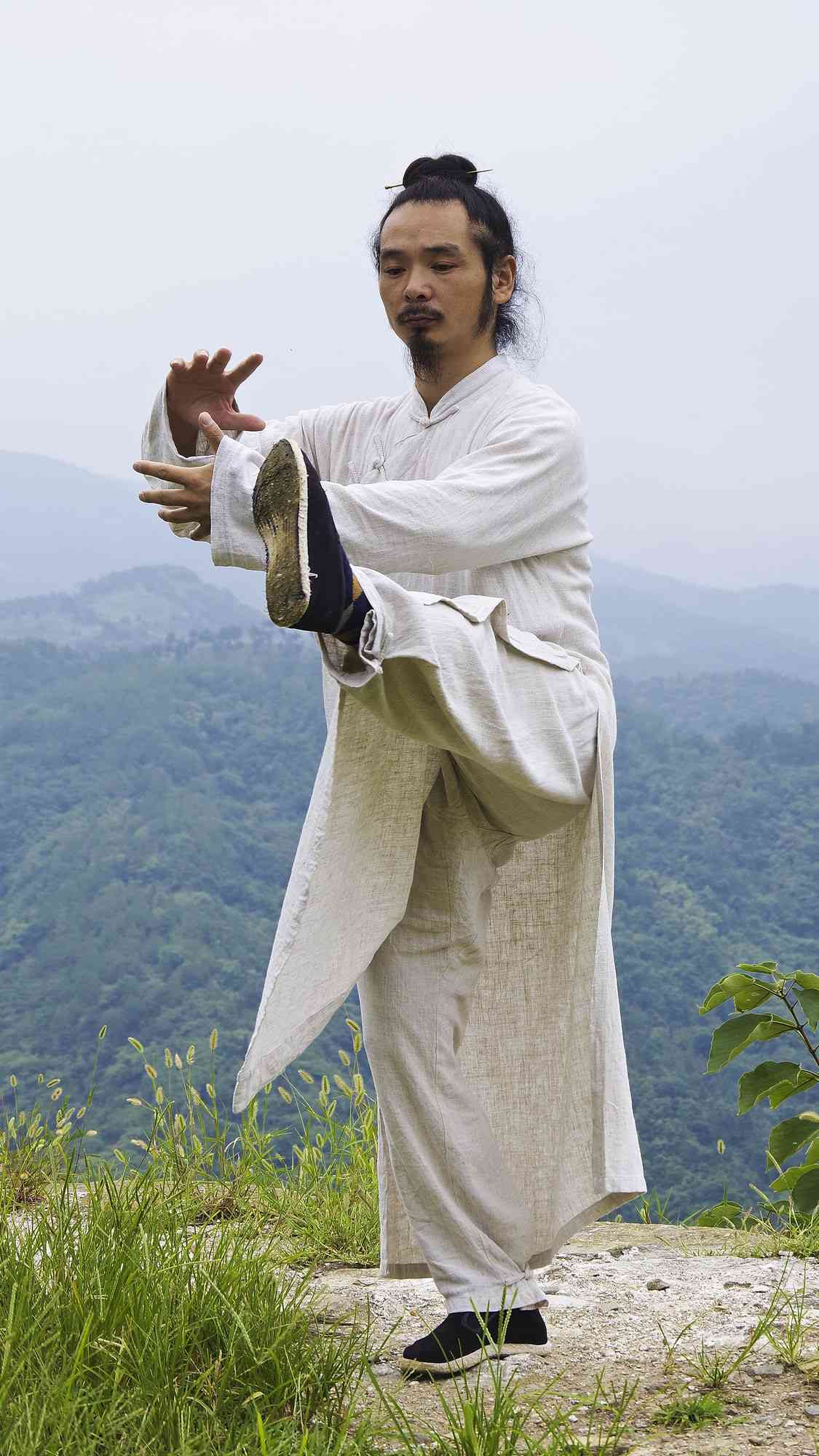 Master Chen Shiyu Coming to Vienna 2018